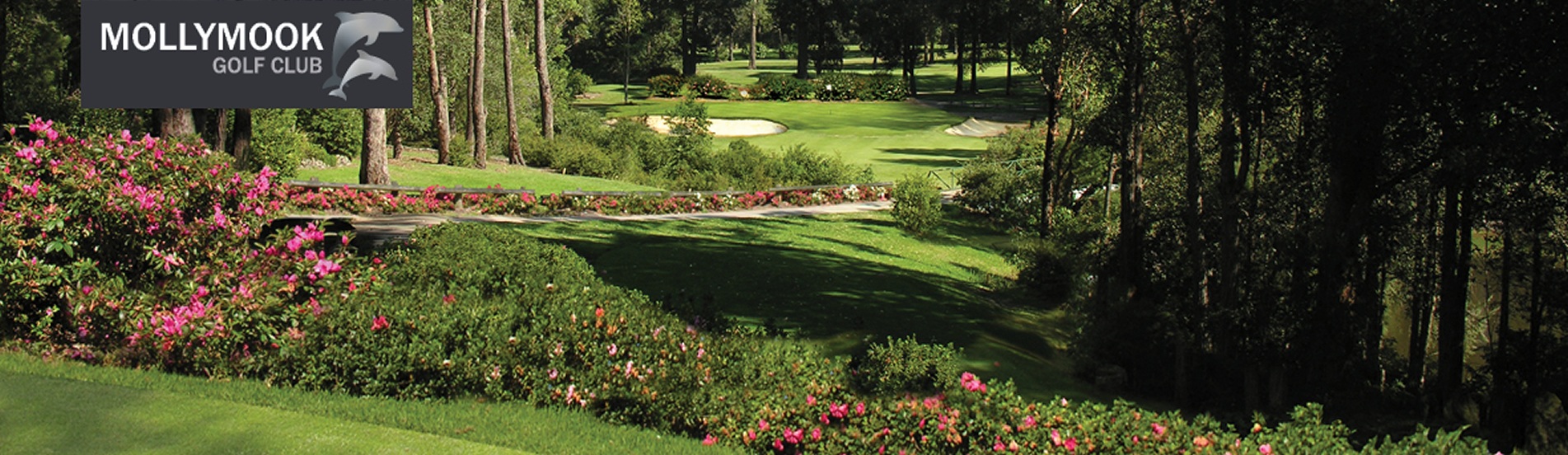 Online Public Bookings | Mollymook Golf Club